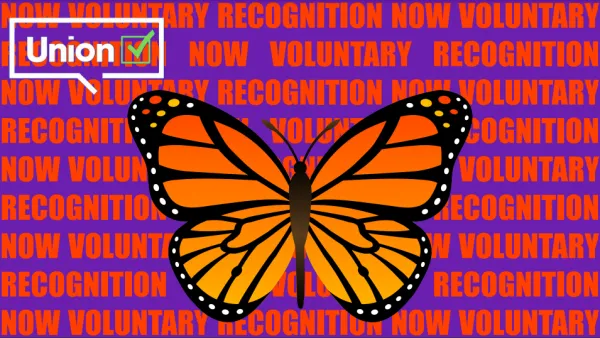Take Action: Workers at Manhattan Immigration Legal Services Provider ...